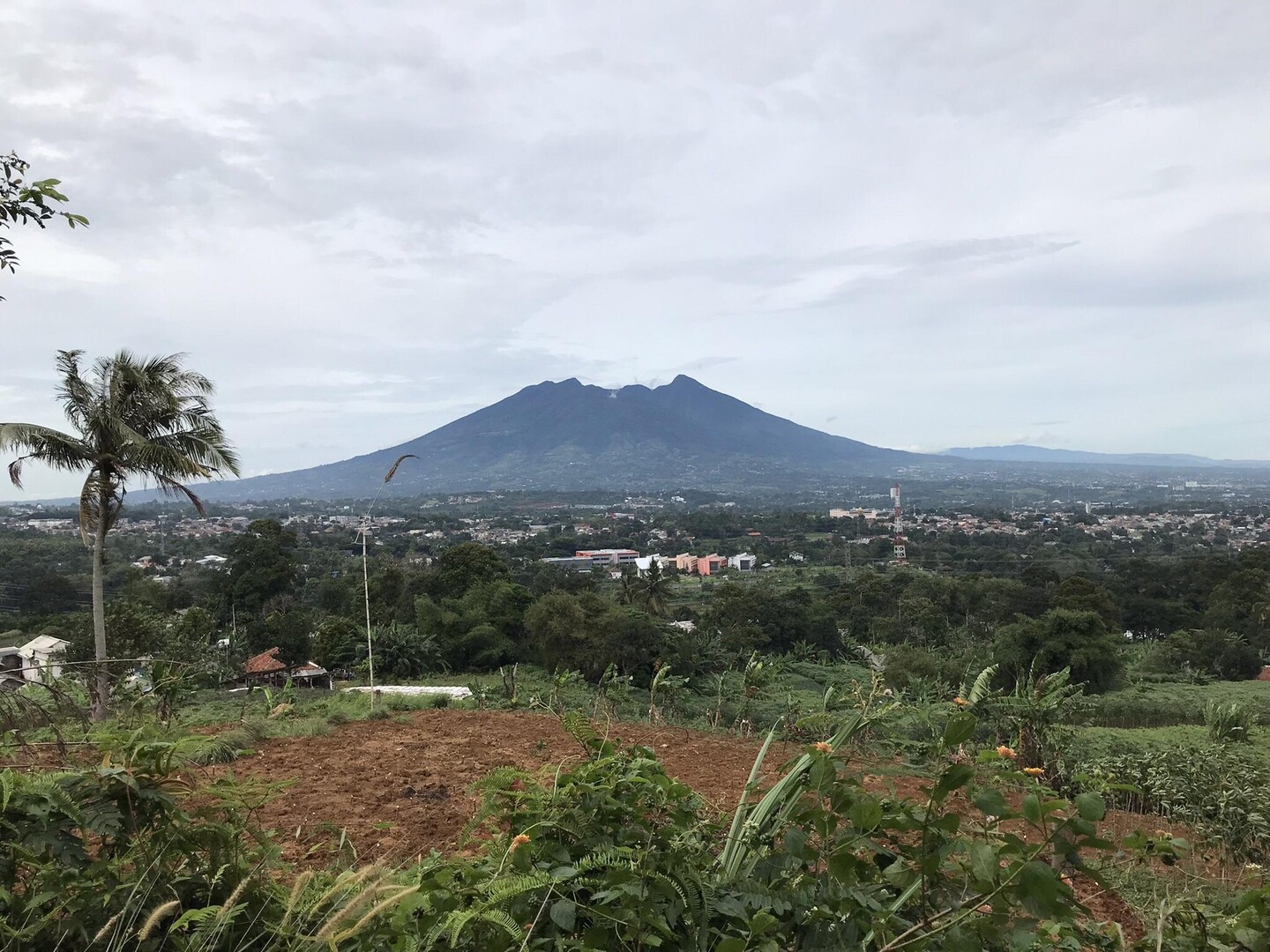 JWC本番 Ciawi (ショート)-2022-10-08 / Yokoさんのジャカルタの活動データ | YAMAP / ヤマップ