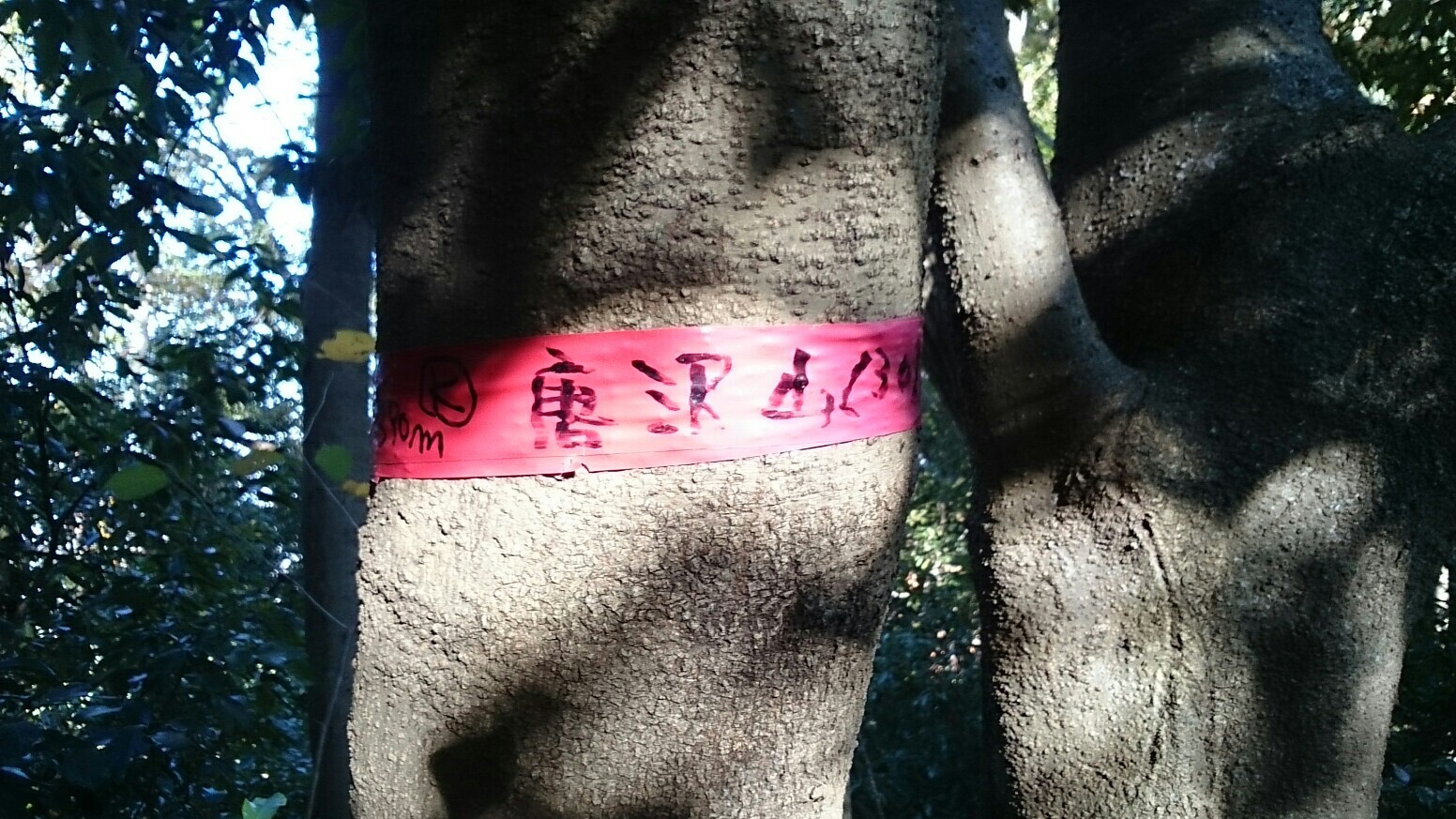 高尾 八王子城山～富士見台 / keepさんの高尾山・陣馬山・景信山の活動データ | YAMAP / ヤマップ