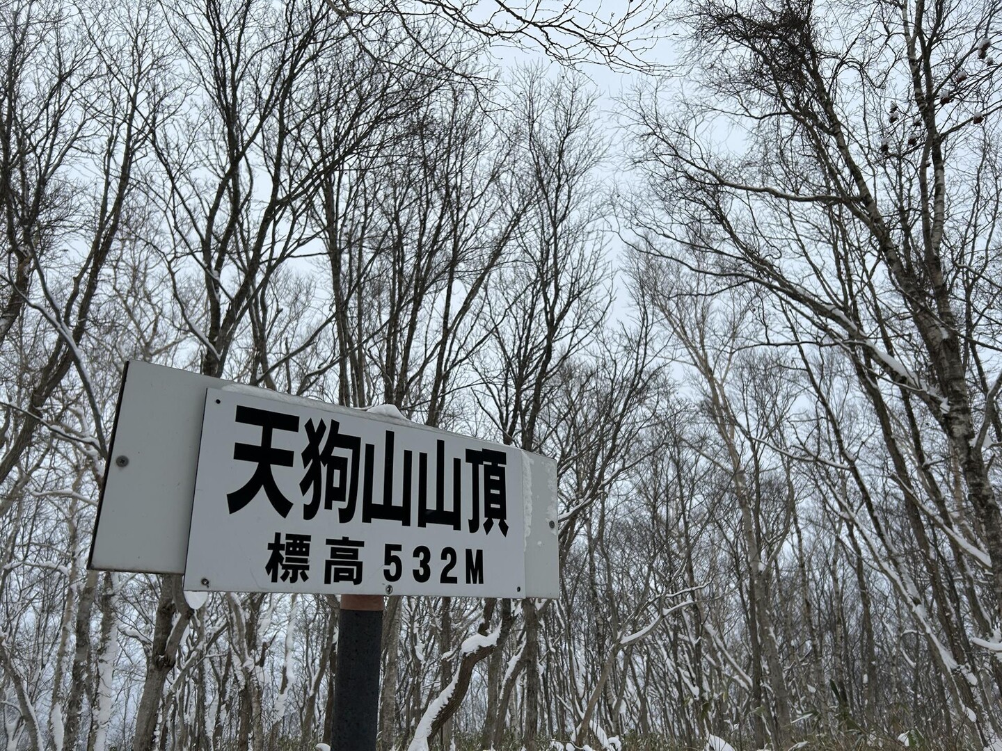 小樽天狗山-42 / yuki_iroさんの塩谷丸山・於古発山の活動データ | YAMAP / ヤマップ