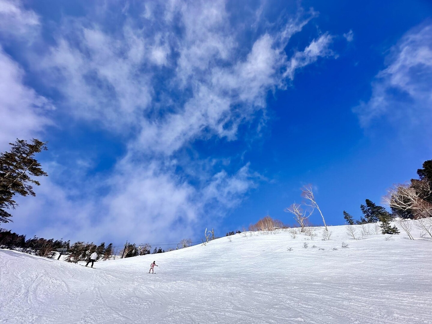 23-24 Season③ / nanuankoさんのスキーの活動データ | YAMAP / ヤマップ