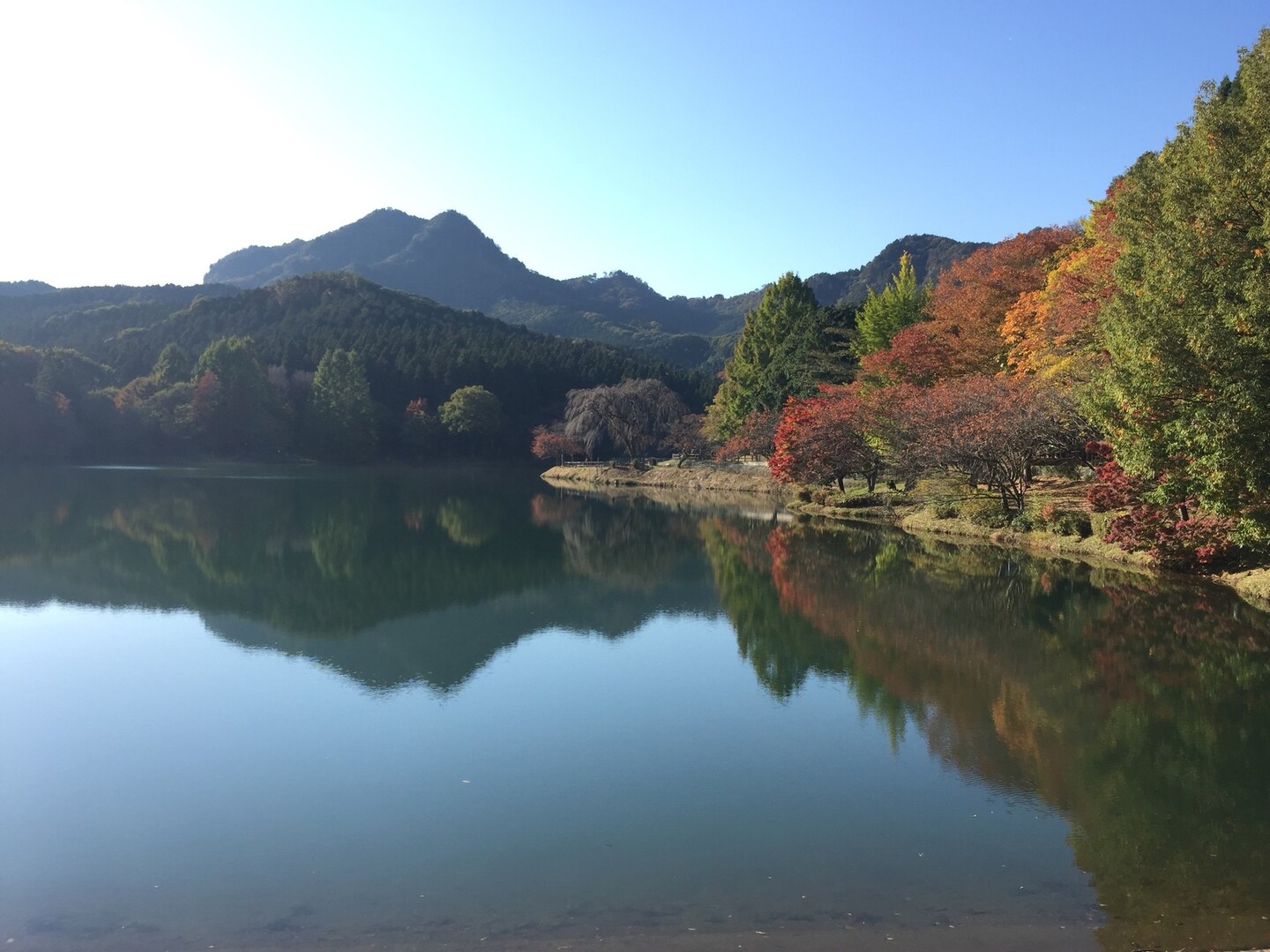 栃100 古賀志山 往路：直登コース／復路：猪落コース / mimosaさんの古賀志山・赤岩山・鞍掛山・男抱山・半蔵山の活動データ | YAMAP / ヤマップ