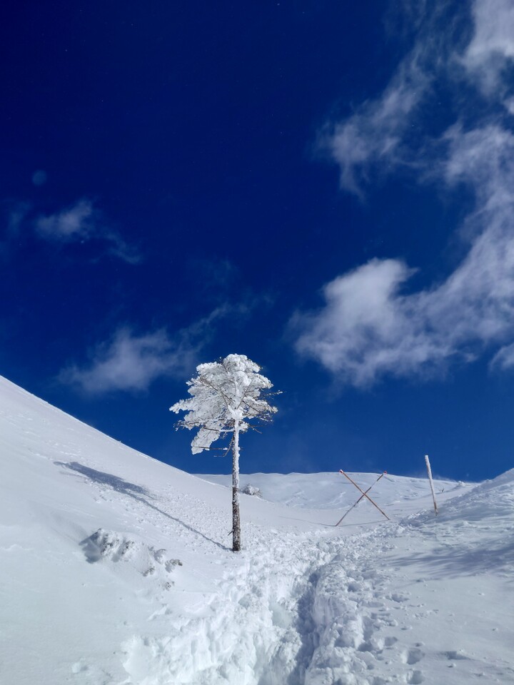 山頂駅-雨池峠 往復コースの地図・登山ルート・登山口情報 | YAMAP / ヤマップ