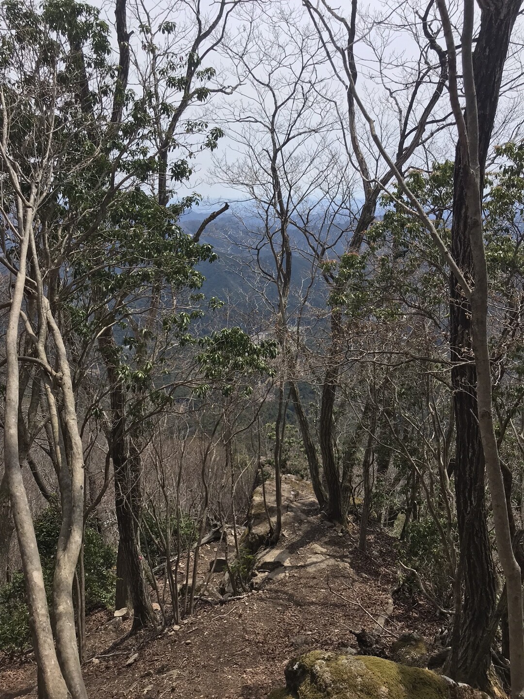 akiraさんの投稿したフィールドメモ | YAMAP / ヤマップ