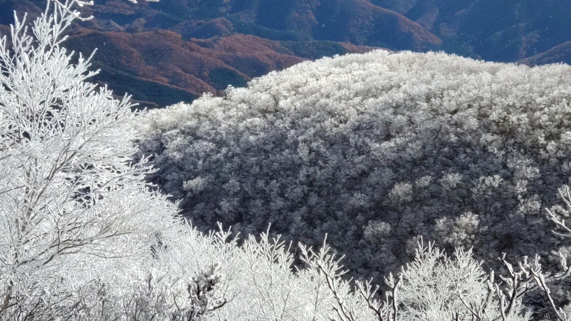霧氷 ️の黒檜山（赤城山）・駒ヶ岳 / 🍀makokazu🍀さんの赤城山・黒檜山・荒山の活動データ | YAMAP / ヤマップ
