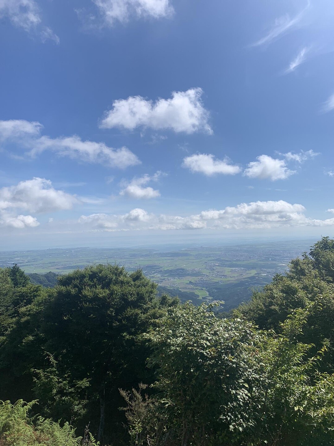 雲母谷の高・堀坂山（雌岳）・堀坂山・堀坂峠の高・観音岳・愛宕山・御所谷山 / yattinさんの堀坂山・観音岳・桝形山（白米城）の活動データ | YAMAP / ヤマップ
