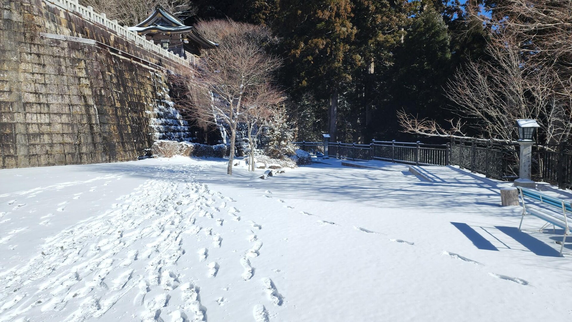 秋葉山なのに雪があった💦 / ゆうさんのモーメント | YAMAP / ヤマップ