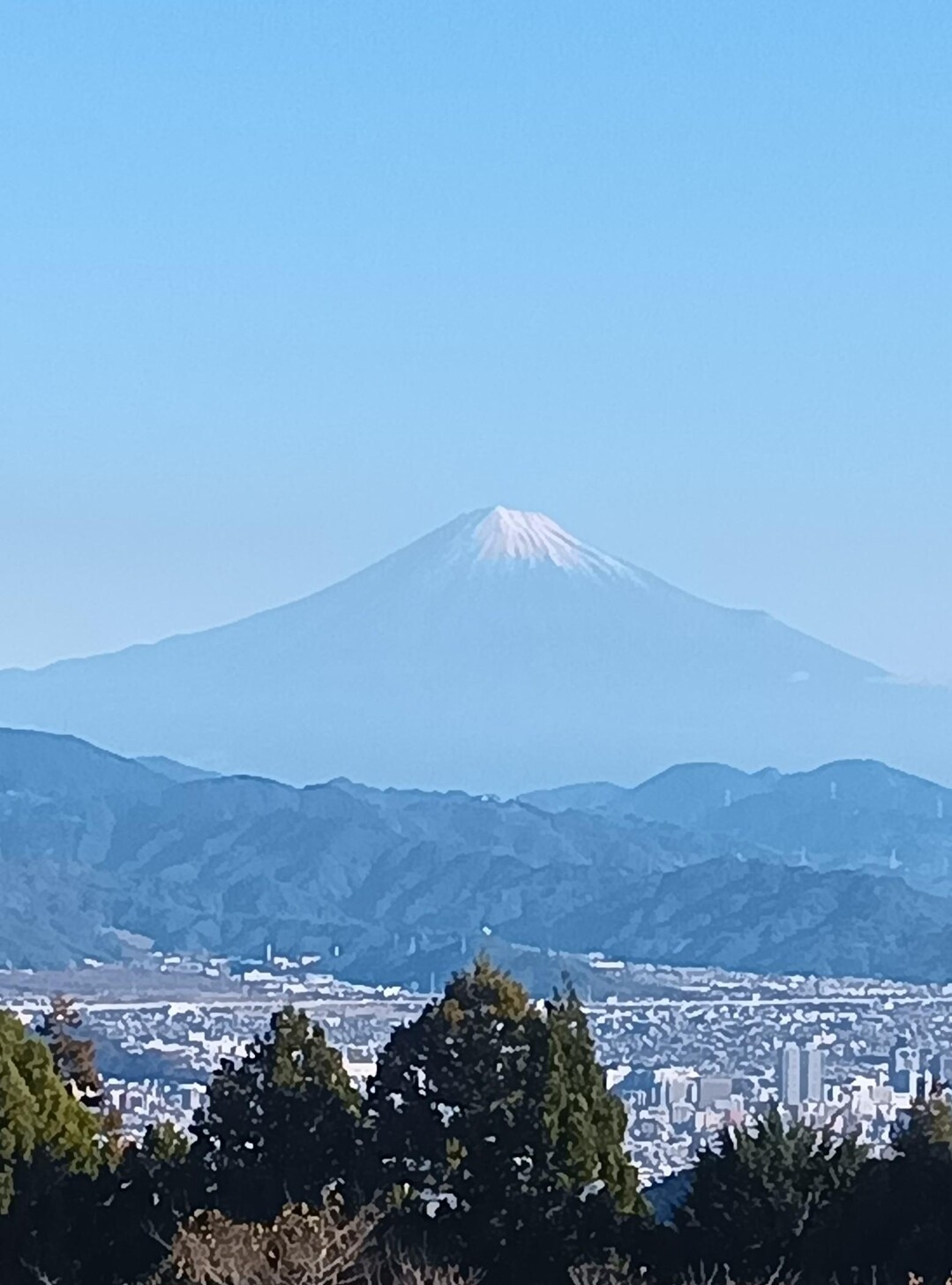 花沢山・満観峰 / sky highさんの焼津アルプス（高草山・満観峰・花沢山）・徳願寺山の活動データ | YAMAP / ヤマップ