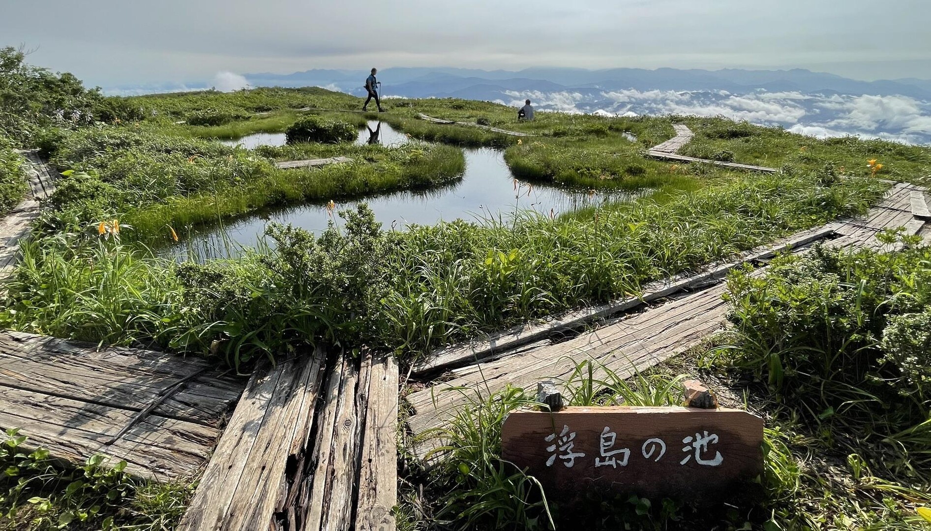 楽園にいます🧚‍♀️ 白木峰 / ゆきuんこさんの白木峰・小白木峰の活動データ | YAMAP / ヤマップ