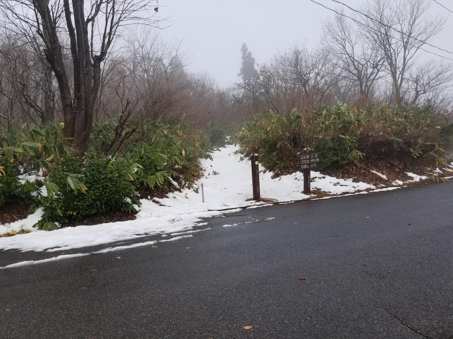 山本山-2023-12-04 / ta-さんの時水城山・丸山の活動データ | YAMAP / ヤマップ