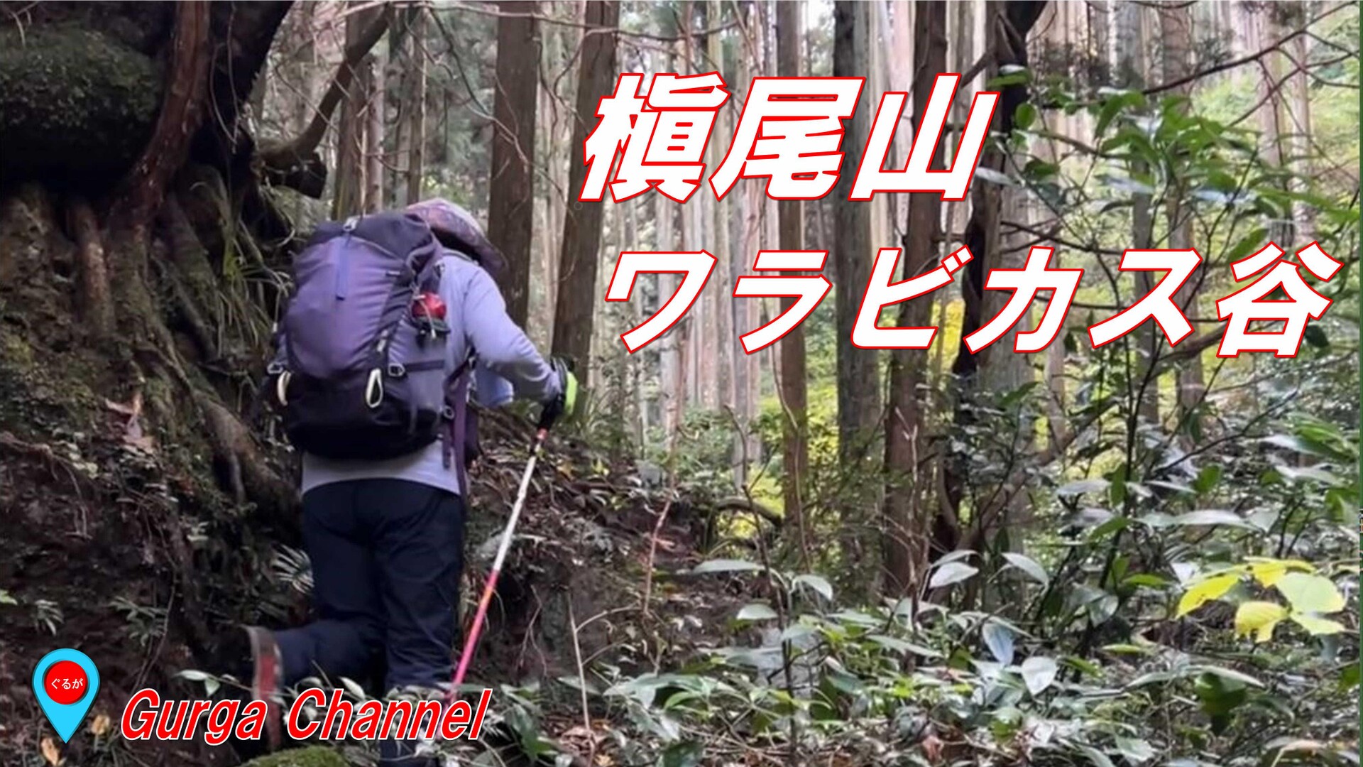 【下ノ肩ノ頭】側川林道～出合橋～ワラビカス谷～下ノ肩～下ノ肩尾根～下ノ肩ノ頭(510m)～十字峠～出合西ノ頭 動画あり / ぐるがさんの槇尾山（槙尾山）・和泉葛城山・神於山の活動データ ...
