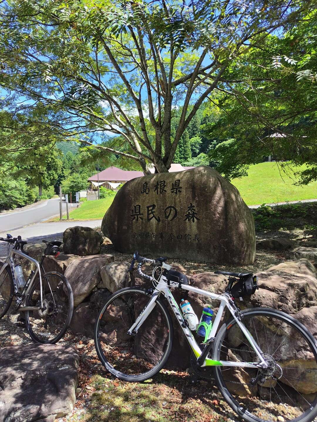 県民の森へ寄ってみた ここは標高あるので... / mipotさんのモーメント | YAMAP / ヤマップ