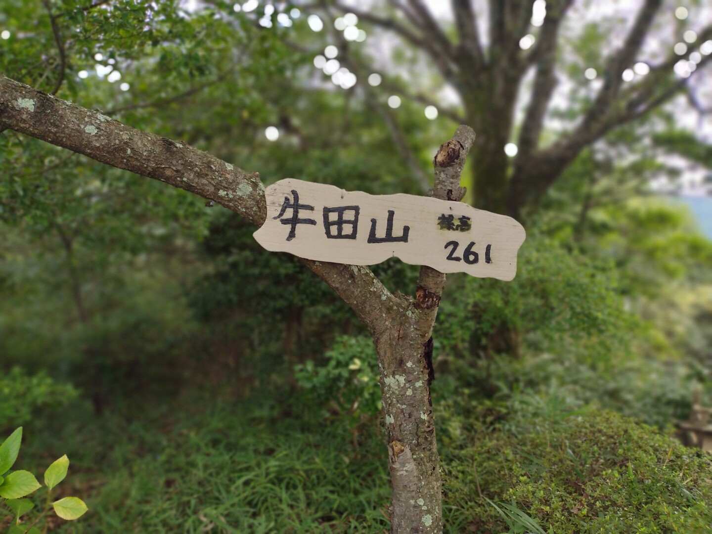 見立山・神田山・牛田山・尾長山・二葉山 / taizo-sさんの牛田山・尾長山・二葉山の活動日記 | YAMAP / ヤマップ