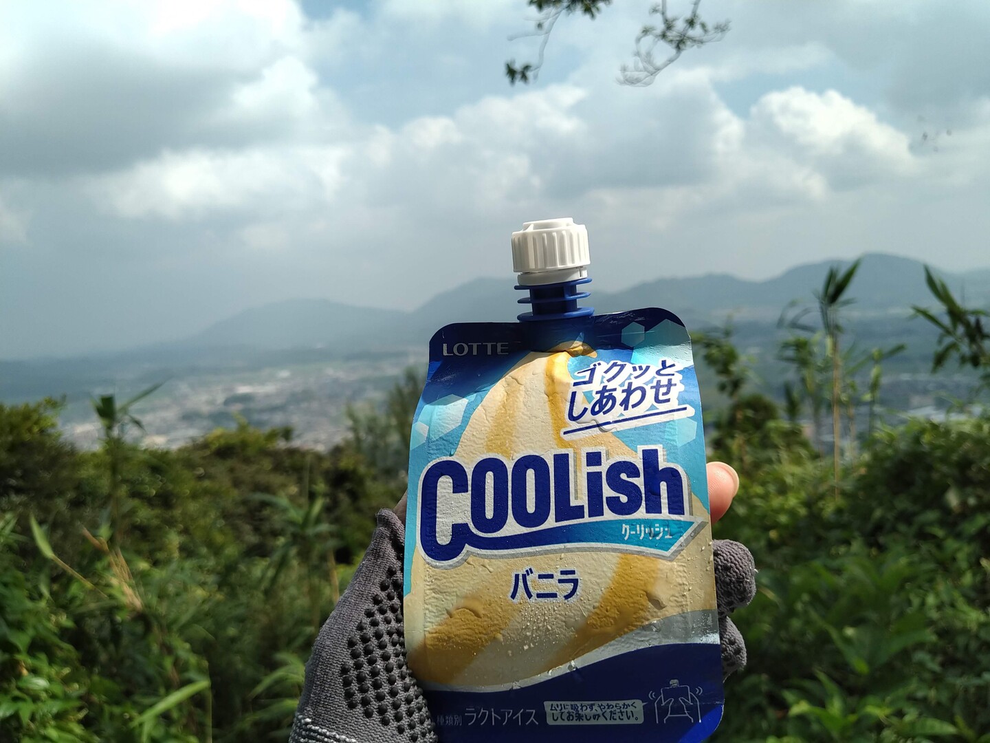 許斐山で「こだま」たちを探せ！ / ryuchanさんの許斐山の活動データ | YAMAP / ヤマップ