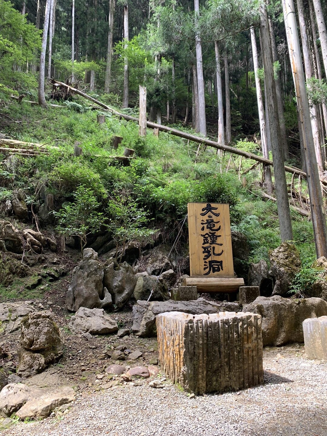 鍾乳洞 2023-08-09 / morryさんの高賀山・瓢ヶ岳・片知山の活動データ | YAMAP / ヤマップ
