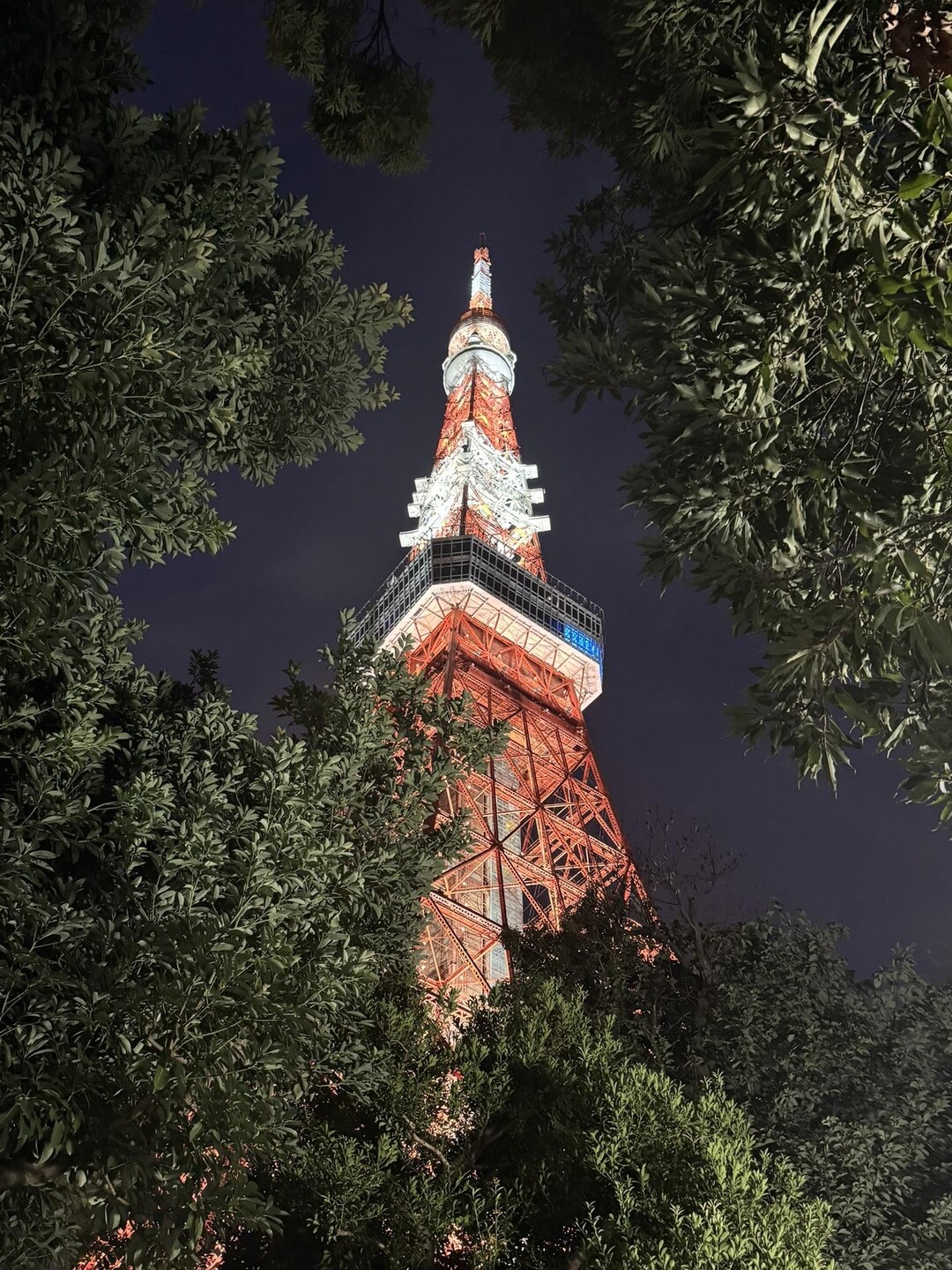 愛宕山・紅葉山 / Kannaさんの東京都23区 中央エリアの活動データ | YAMAP / ヤマップ