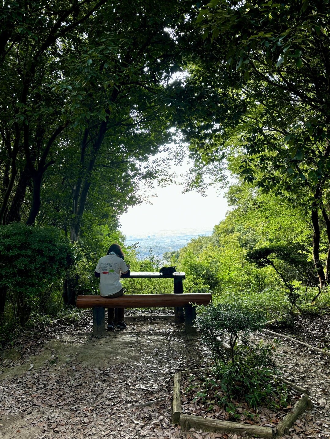 妻とのんびり阿武山散策 / ミカン de mikanさんの竜王山・阿武山の活動データ | YAMAP / ヤマップ
