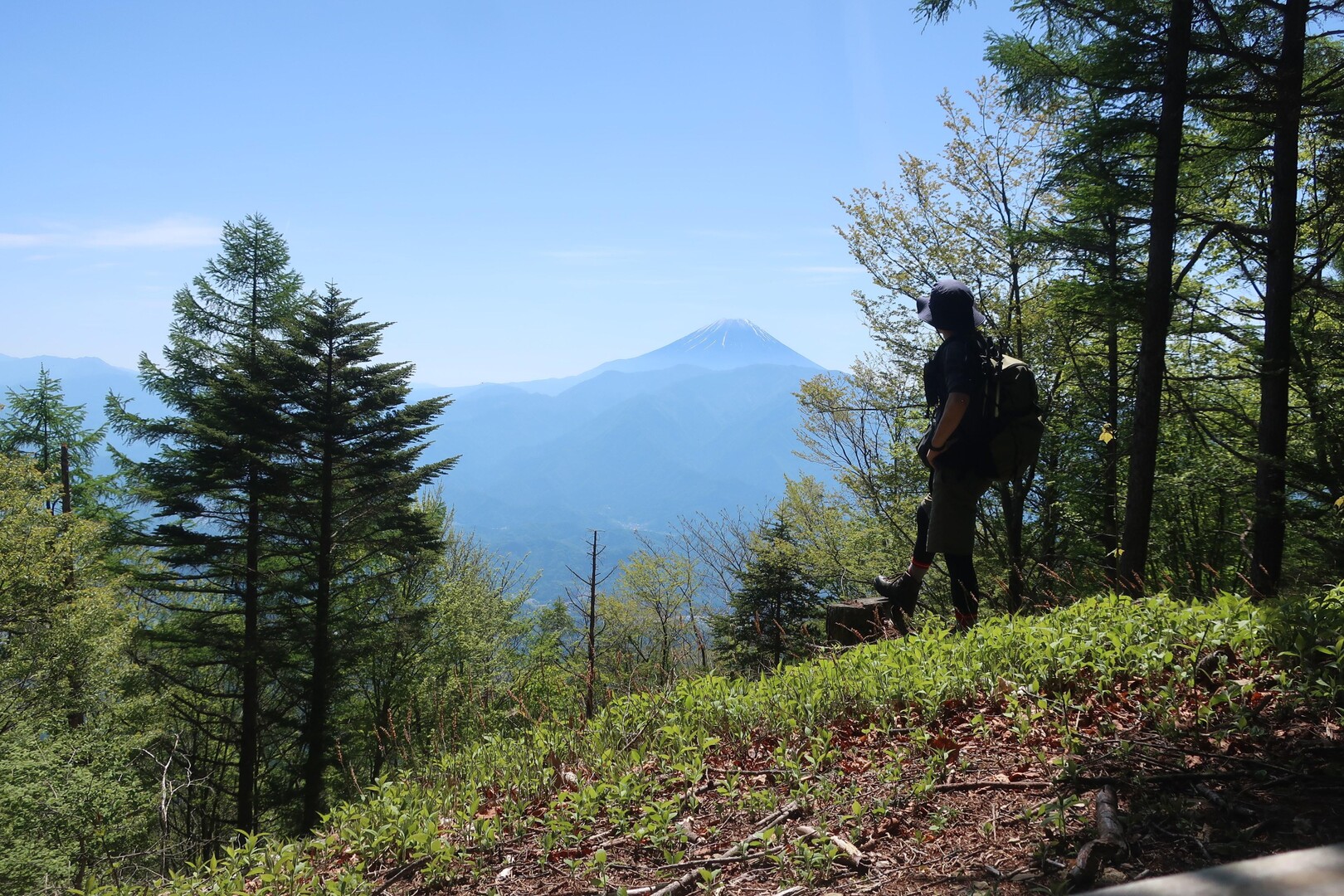富士見山（春）平須ルート～堂平ルート周回 / ukonさんの富士見山・御殿山の活動日記 | YAMAP / ヤマップ