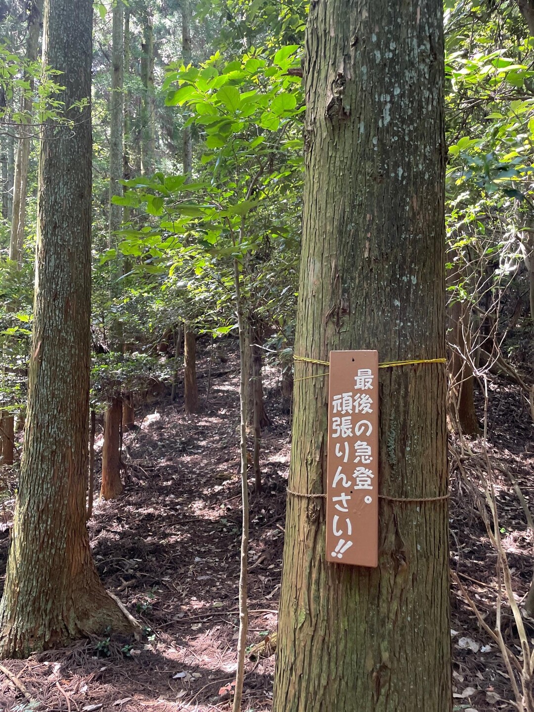 少し暑さも和らいだのか⁉️😮‍💨 やっぱ、気のせい⁉️😓💦向山 / Y.Blue Mountainさんの窓ヶ山・向山の活動データ | YAMAP / ヤマップ