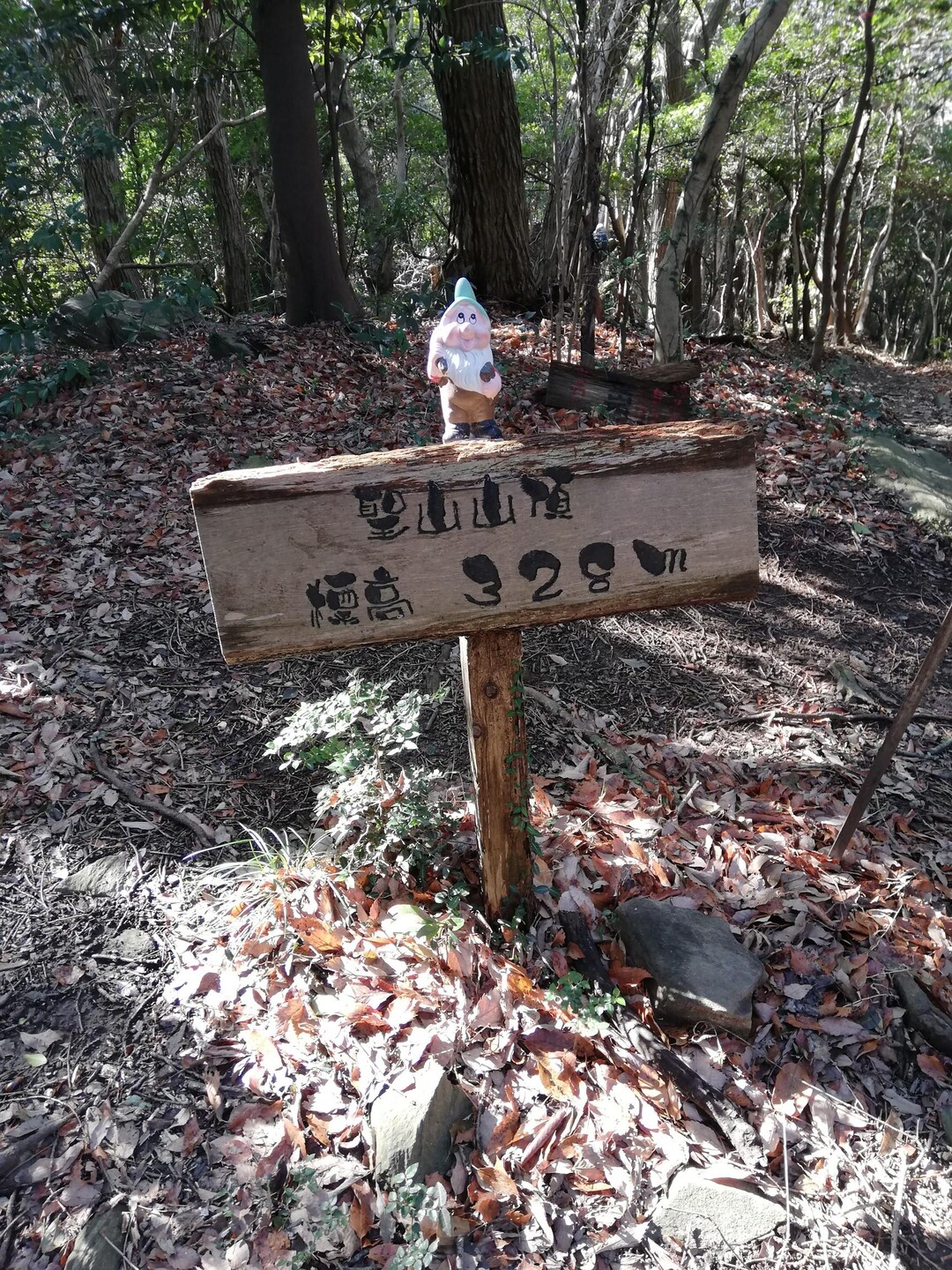 hi_suさんの投稿したフィールドメモ | YAMAP / ヤマップ