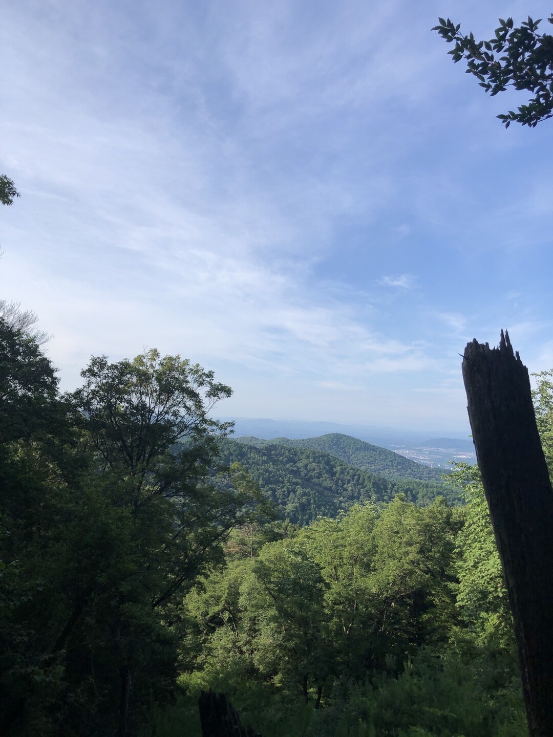道樹山・大谷山・弥勒山 / aspiさんの春日井三山・弥勒山・大谷山・道樹山の活動データ | YAMAP / ヤマップ