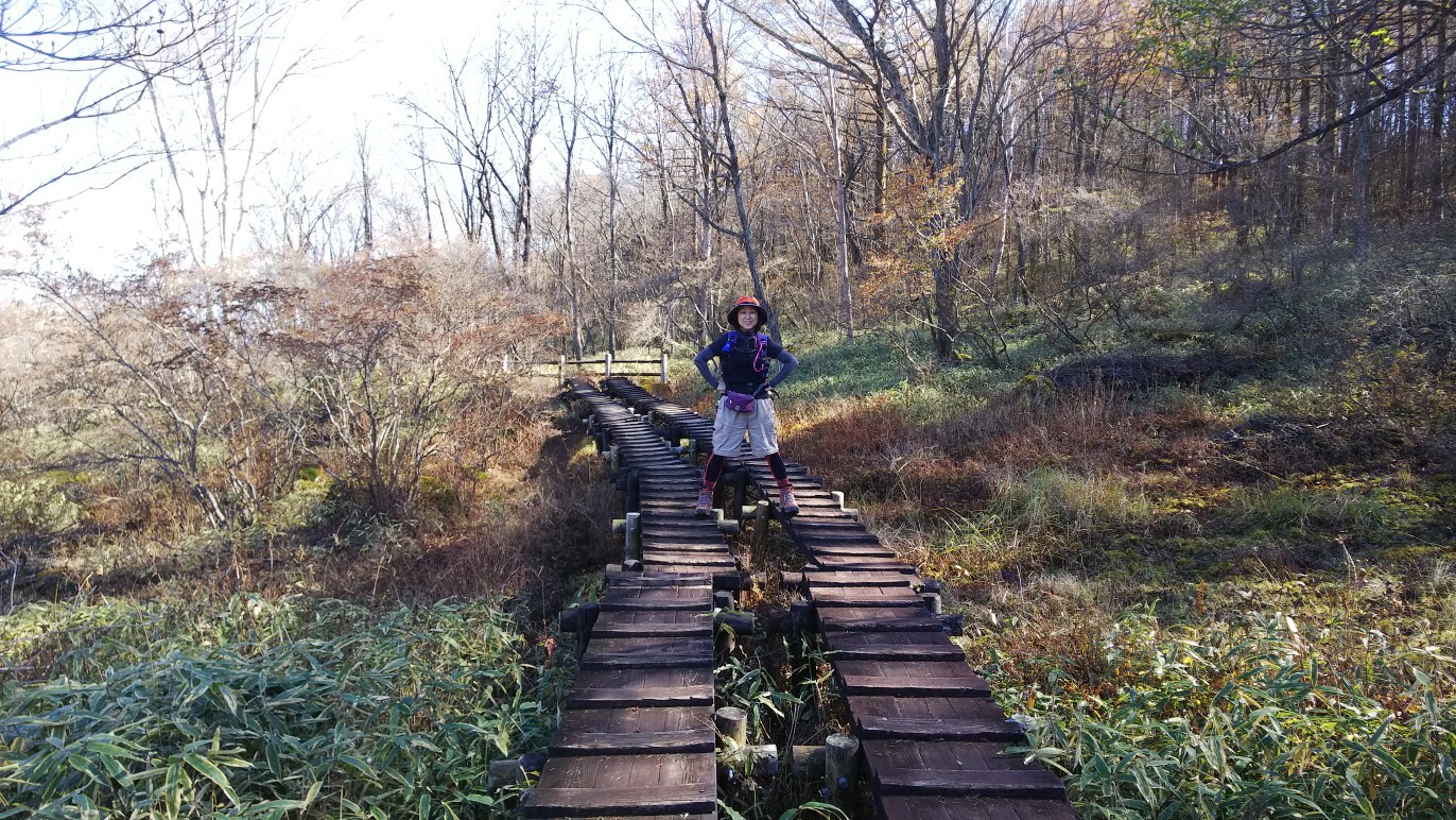 54 横根山 / mommutさんの石裂山の活動データ | YAMAP / ヤマップ