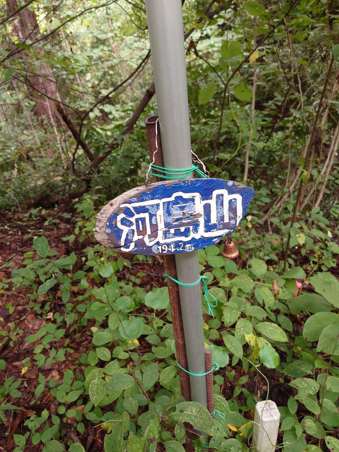 ふるさとの山 河島山 散歩 / rukyさんの甑岳・楯山の活動データ | YAMAP / ヤマップ