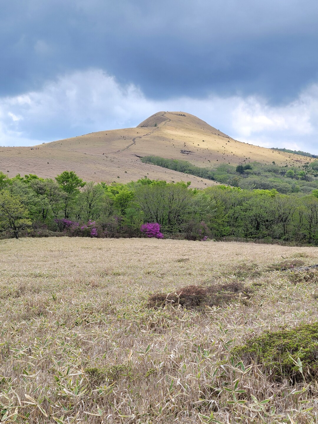 一目山・みそこぶし山・女岳・涌蓋山 / shigeyoさんの涌蓋山・猟師山の活動日記 | YAMAP / ヤマップ