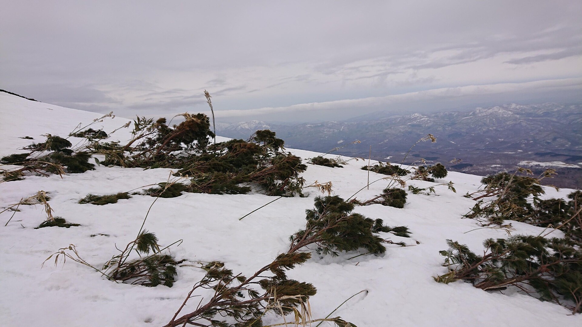 ニセコ ワイスホルンBC-2024-04-09 / nobさんのニセコアンヌプリ・イワオヌプリ・チセヌプリの活動データ | YAMAP / ヤマップ