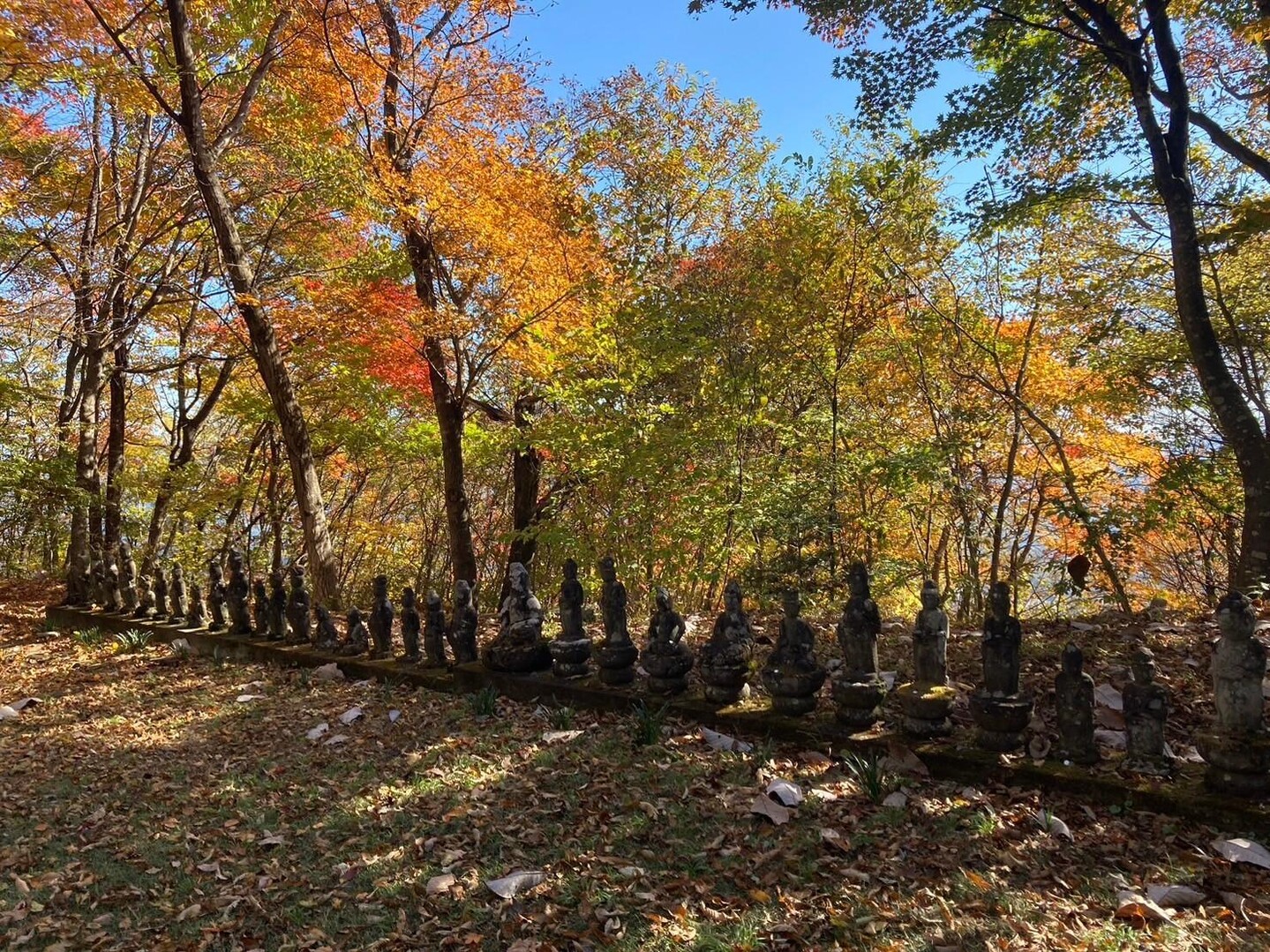嵩山（大天狗）・中天狗・小天狗 / reoさんの小野子山・十二ヶ岳・雨乞山の活動データ | YAMAP / ヤマップ