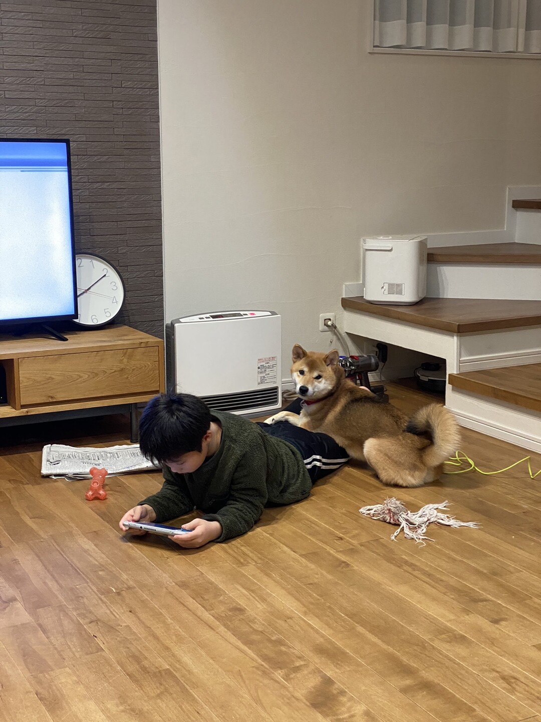 ストーブ前を取り合う10月6日生まれ同士... / ちびぴたさんのモーメント | YAMAP / ヤマップ