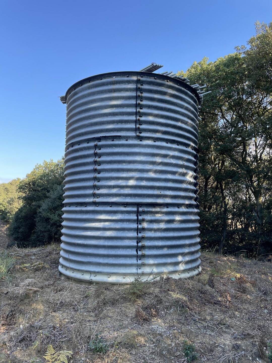 市民の森徘徊 / MABOさんの四国遍路その17の活動データ | YAMAP / ヤマップ