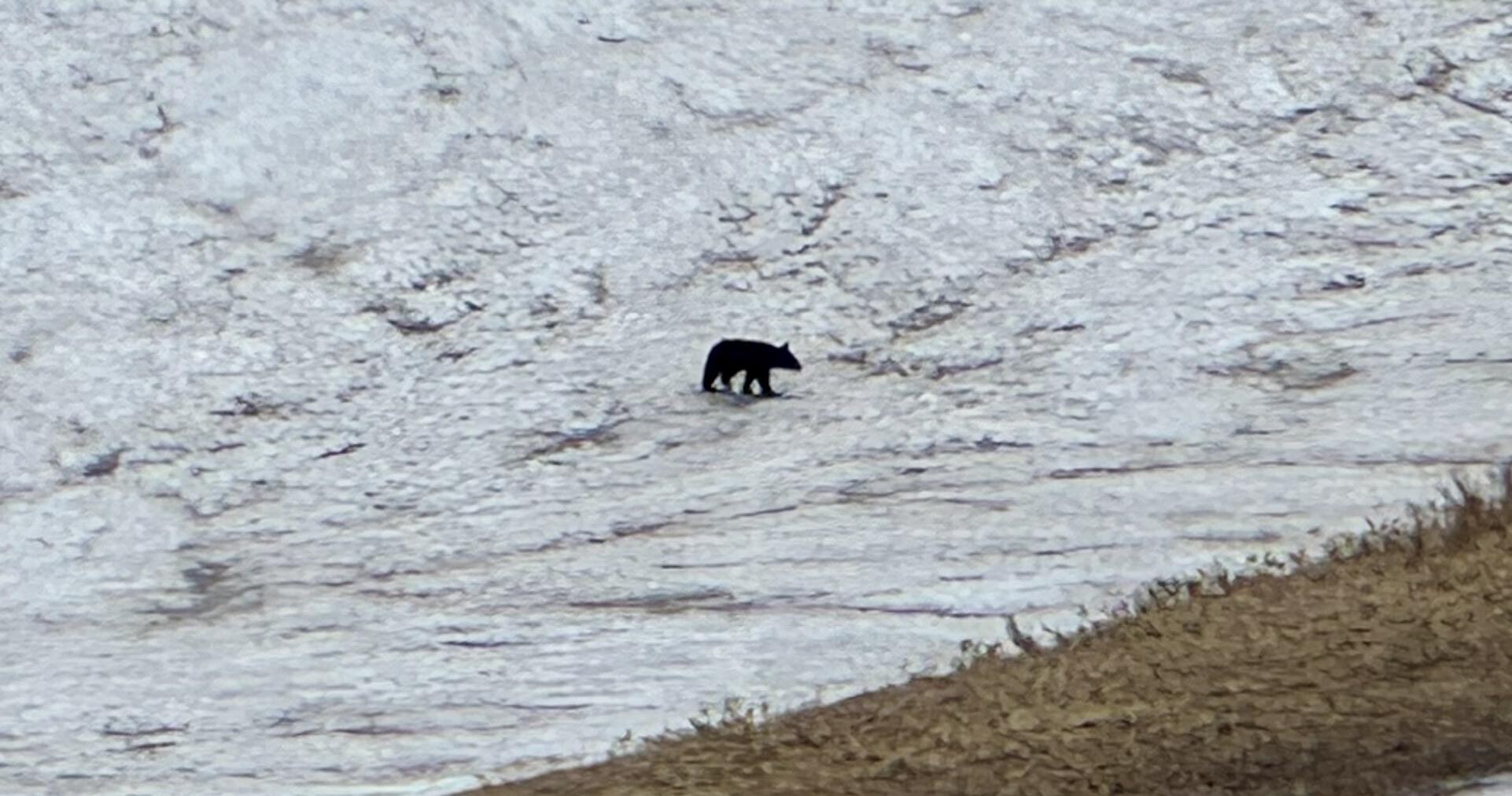 今週は色んな生き物にあったなー🙂 / Shin5さんのモーメント | YAMAP / ヤマップ