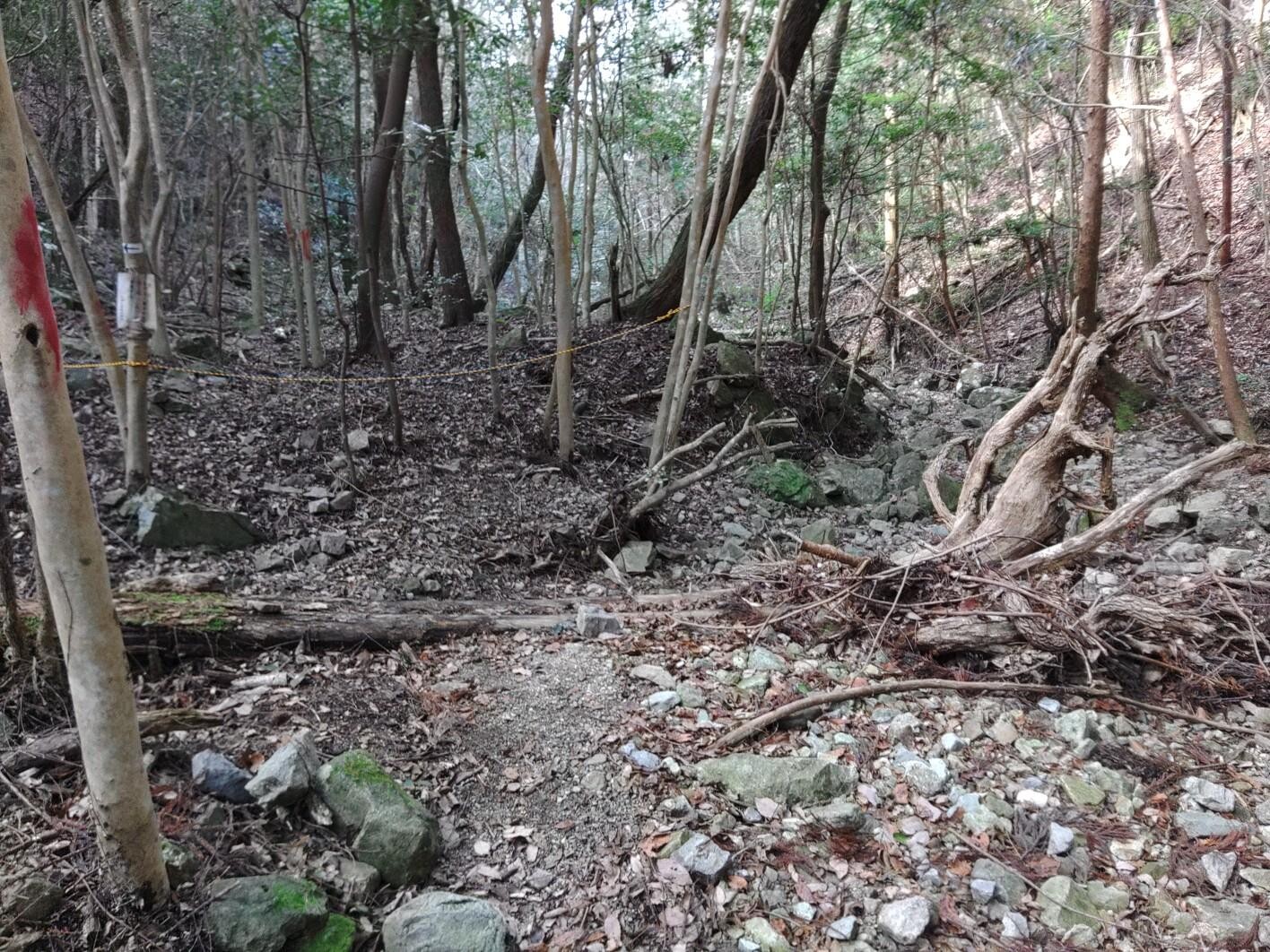 Shinさんの投稿したフィールドメモ | YAMAP / ヤマップ