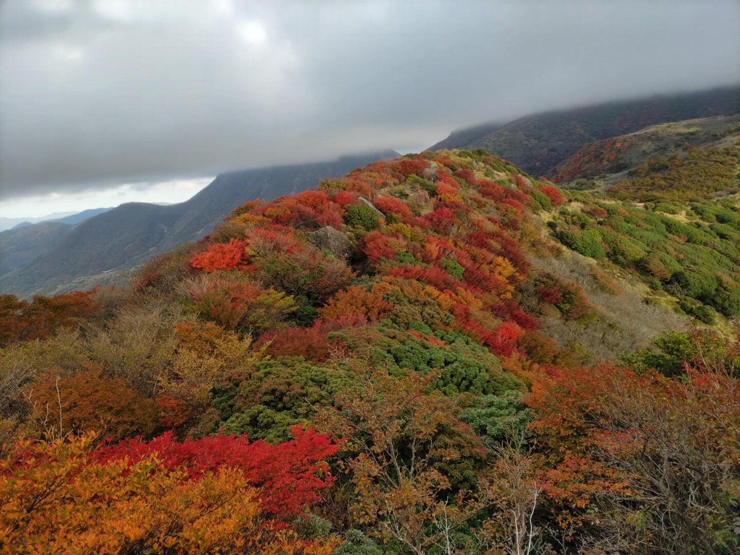 2022.10.20(木) 10:41 / やまばかさんのモーメント | YAMAP / ヤマップ
