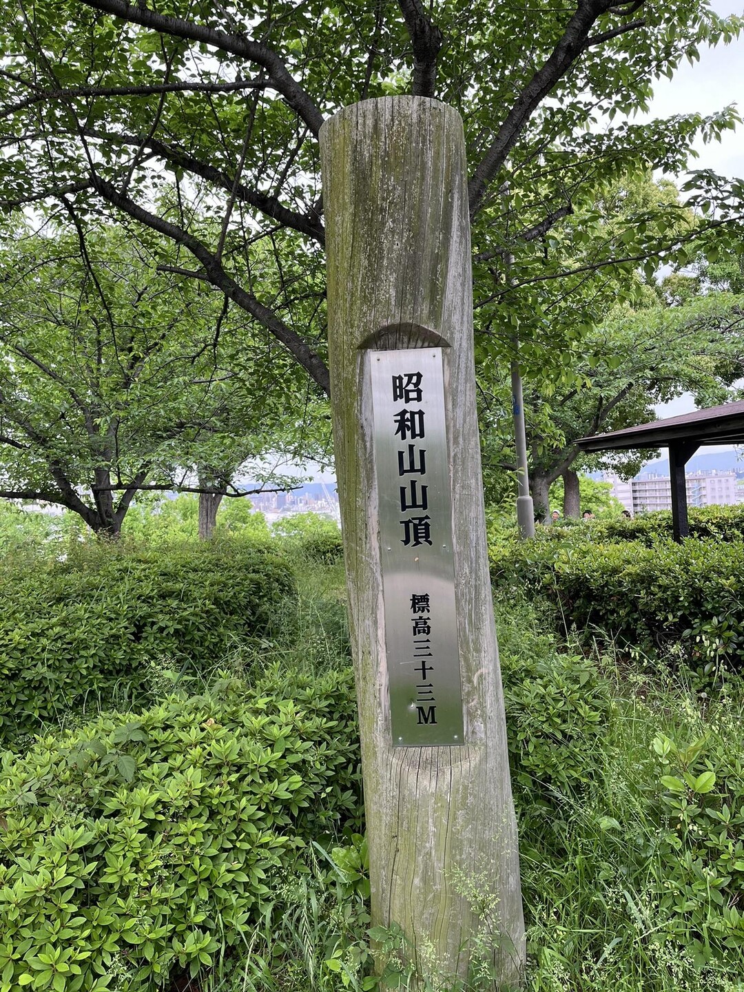 昭和山 33メートル / hacoさんの大阪市の活動データ | YAMAP / ヤマップ