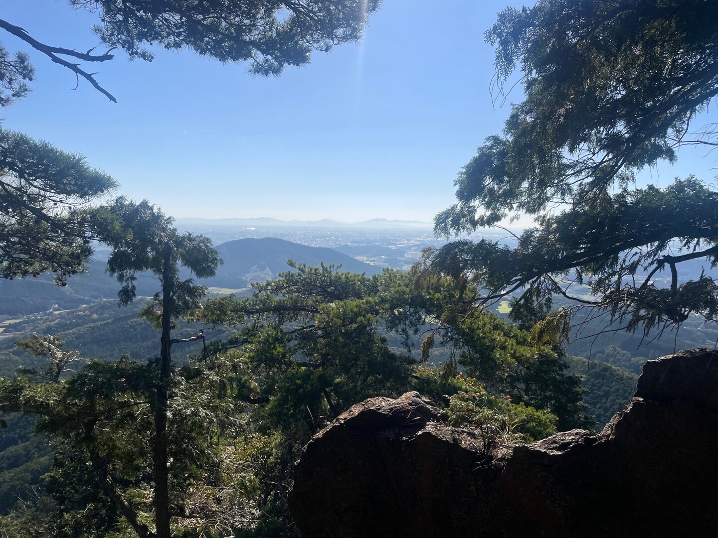 古賀志山でお花探し🥰2023-10-17 / mihoさんの古賀志山・赤岩山・鞍掛山・男抱山・半蔵山の活動データ | YAMAP / ヤマップ
