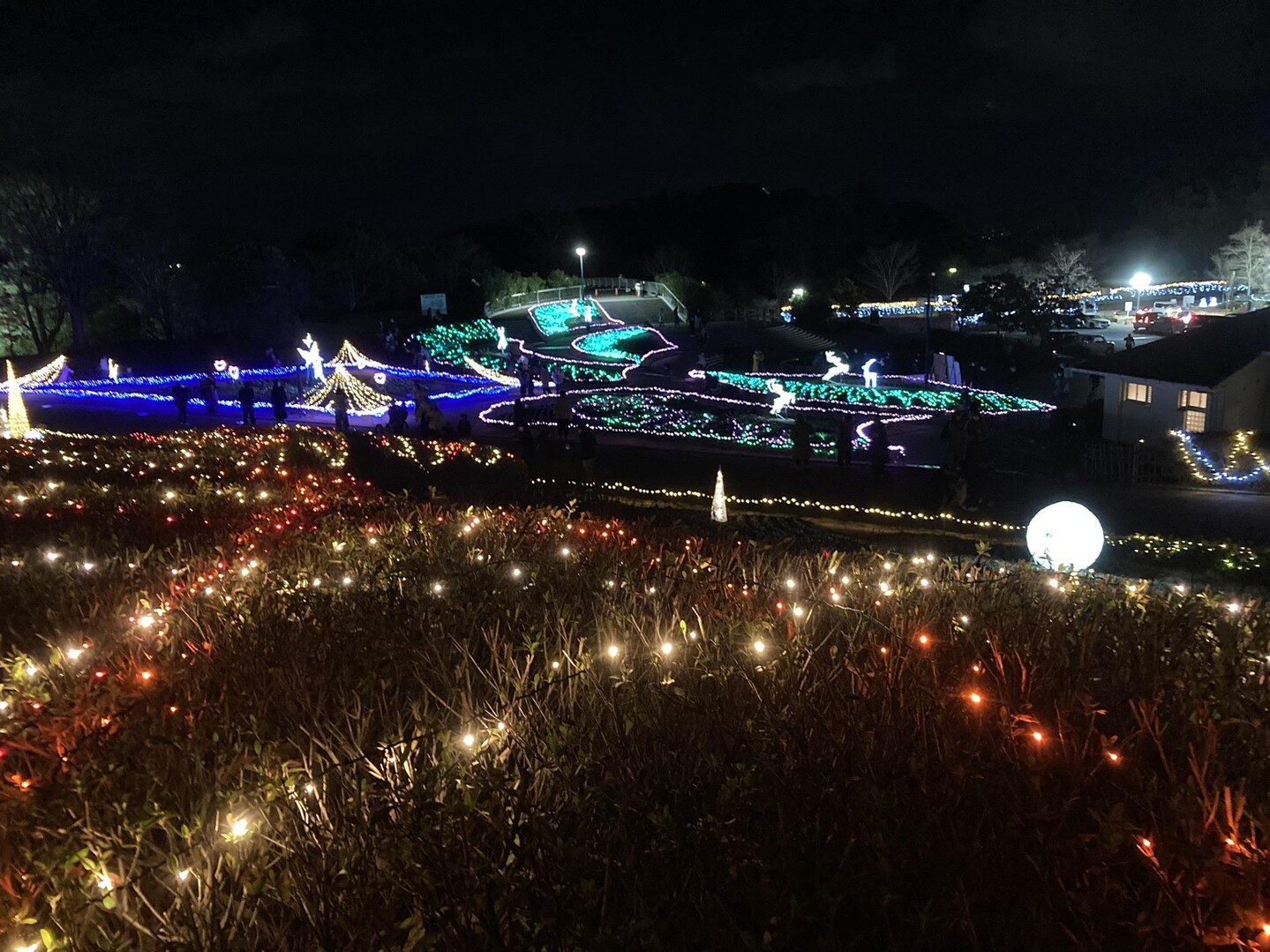 近所の公園にイルミネーションを見に行って... / TQさんのモーメント | YAMAP / ヤマップ