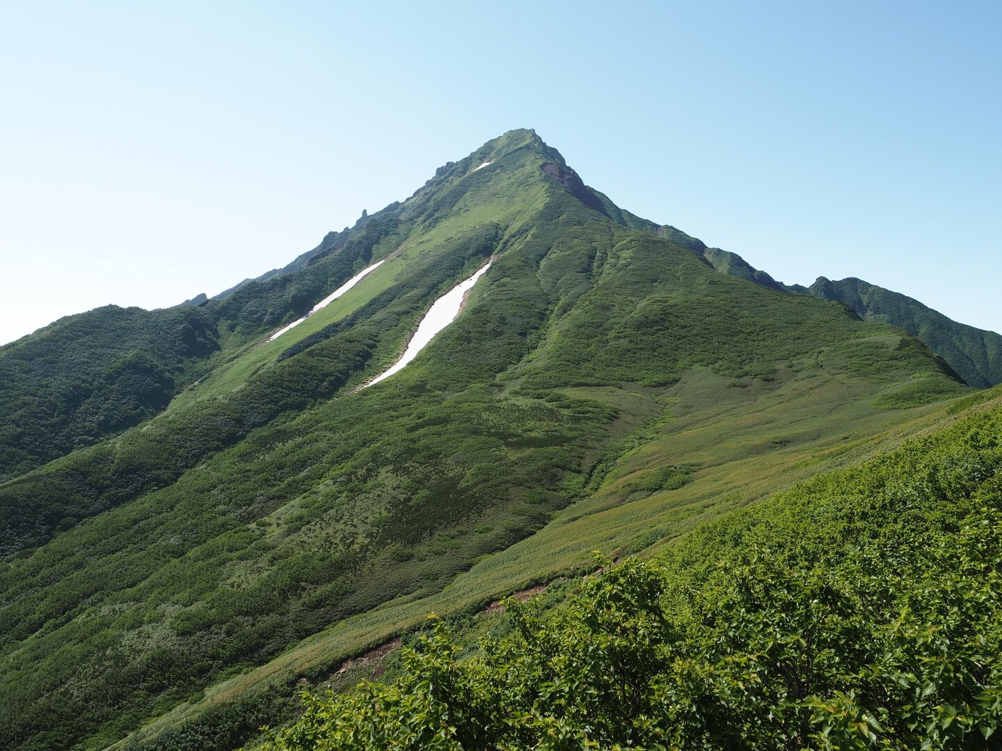 利尻山🌱 - 20240711 / Tadaboxさんの利尻山（利尻富士）の活動データ | YAMAP / ヤマップ