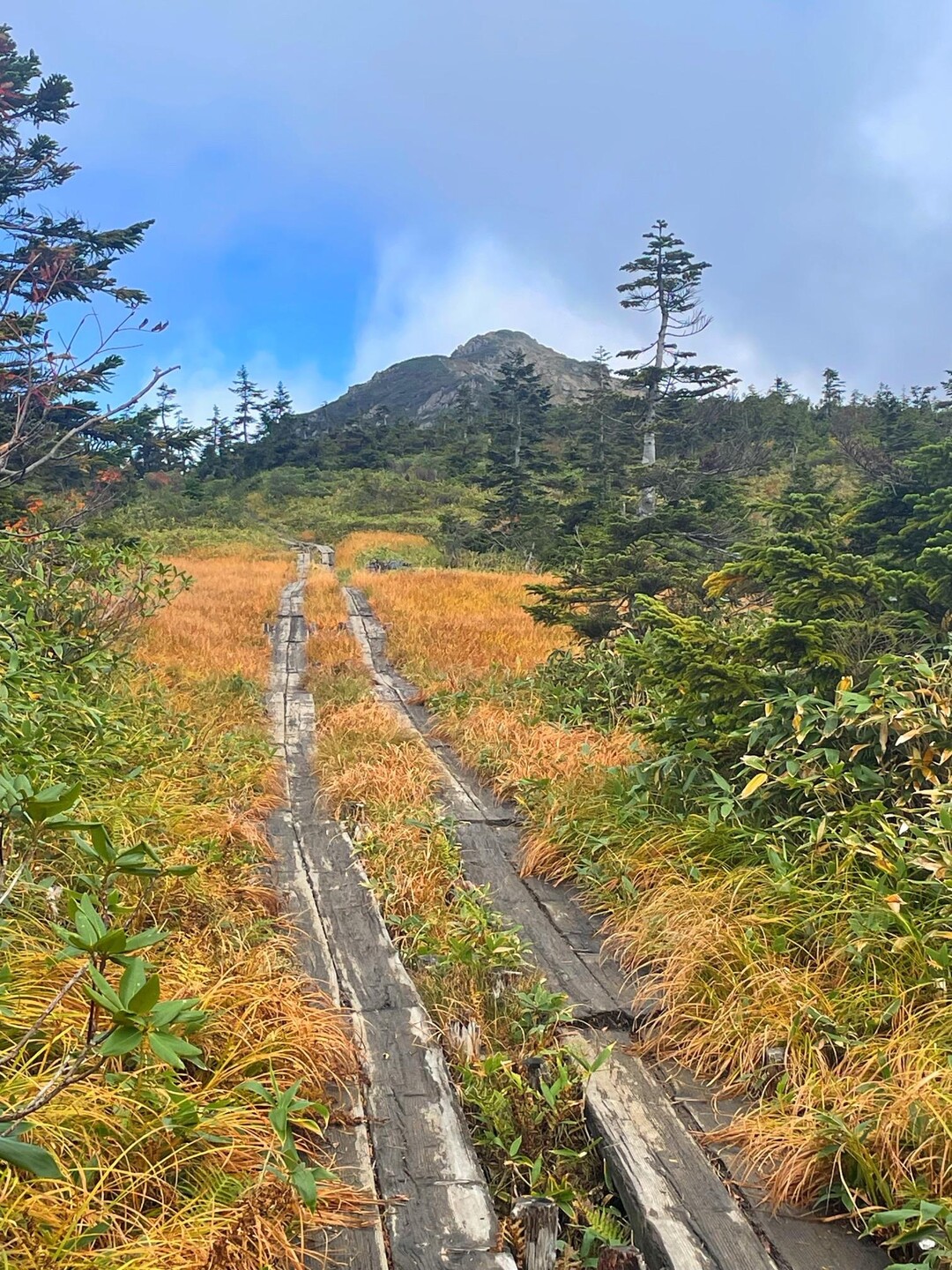 木道と蛇紋岩に苦戦💧至仏山 / akkoさんの尾瀬・燧ヶ岳の活動データ | YAMAP / ヤマップ