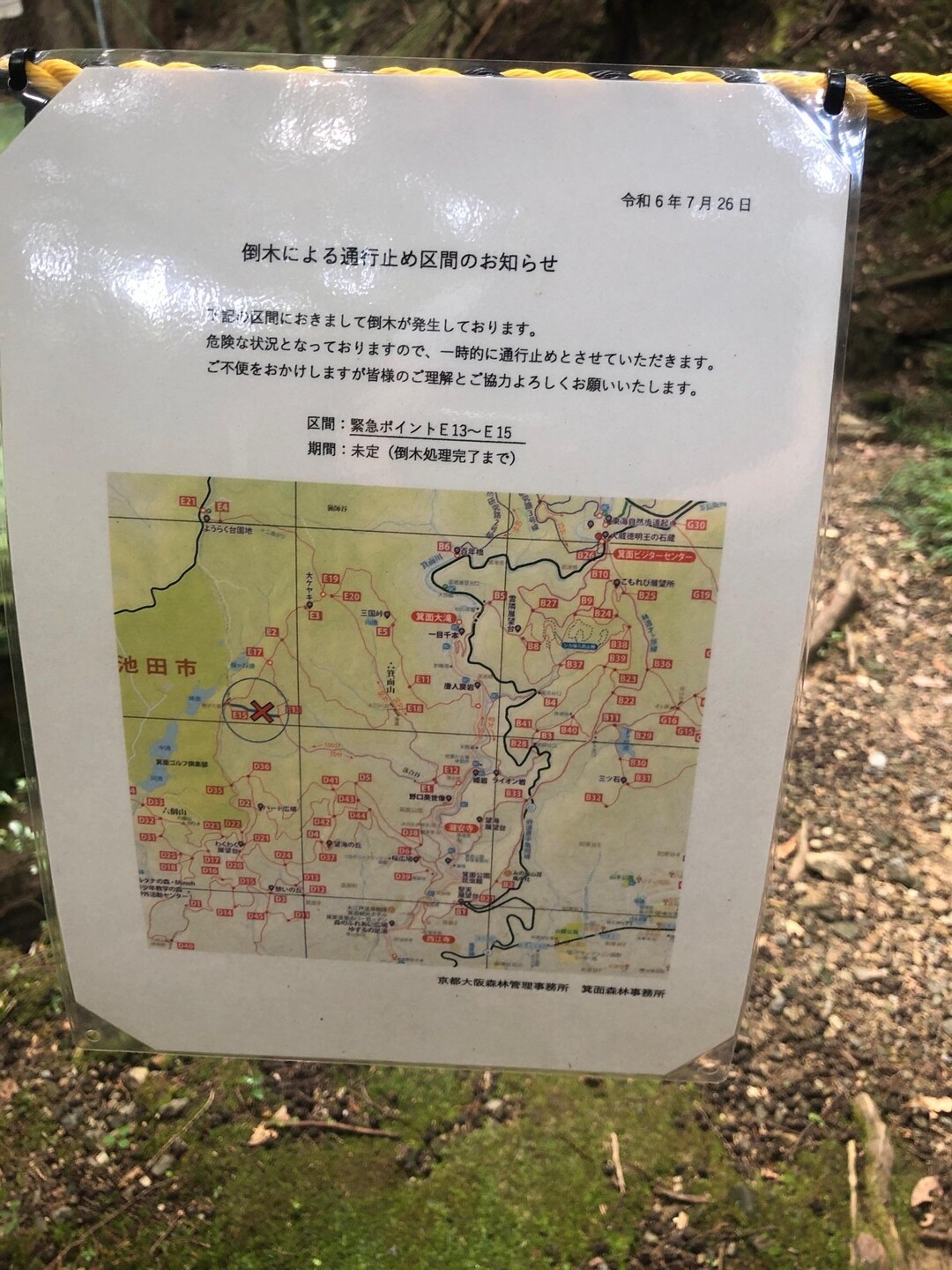 emiさんの投稿したフィールドメモ | YAMAP / ヤマップ