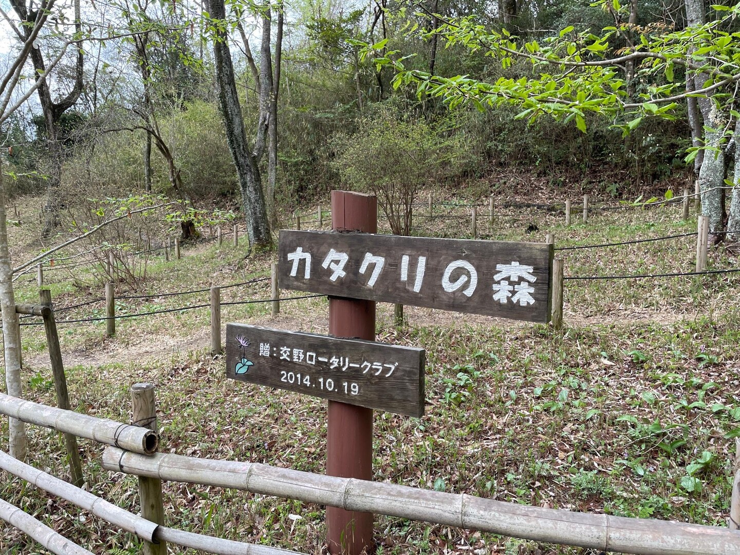 YassYassさんの投稿したフィールドメモ | YAMAP / ヤマップ