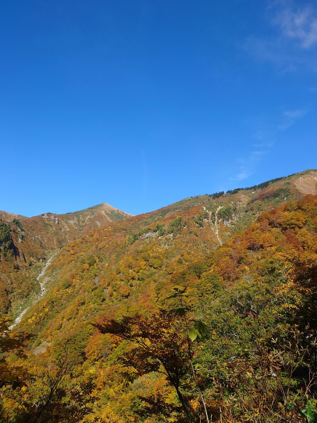 巻機山 / ugさんの巻機山・割引岳・金城山の活動データ | YAMAP / ヤマップ