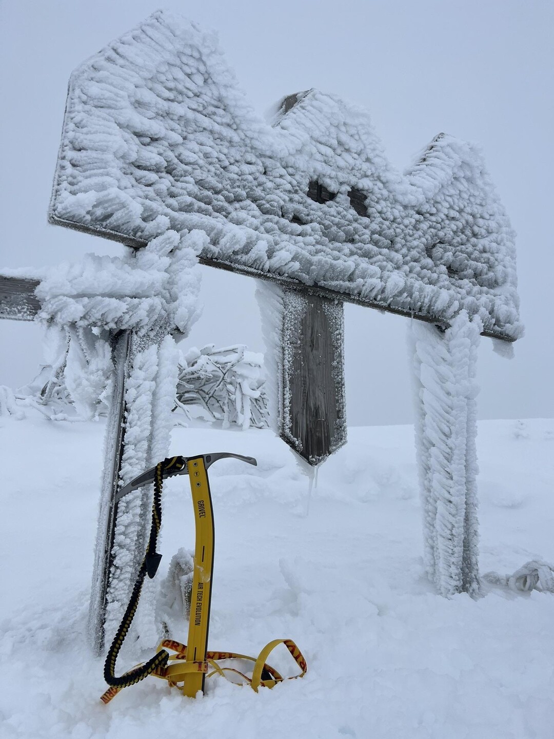 剣ヶ峰山・武尊山 / MAYUPさんの武尊山・鹿俣山・尼ヶ禿山の活動データ | YAMAP / ヤマップ