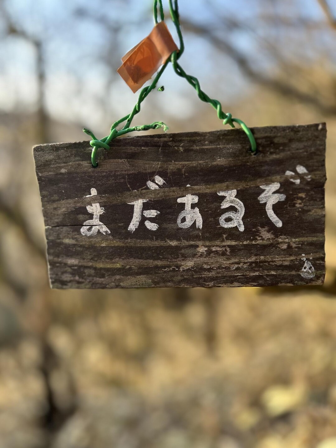 くじゅう1day 17サミッツ / 山頂脱糞倶楽部さんの九重山（久住山）・大船山・星生山の活動データ | YAMAP / ヤマップ