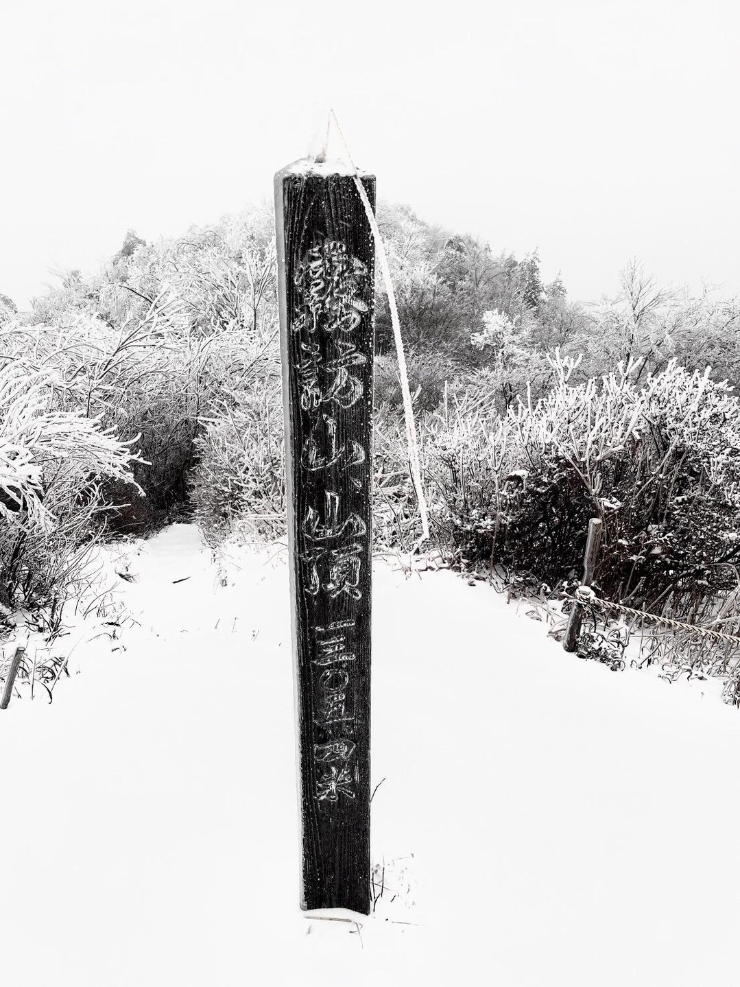 霧訪山🏔️ ️きりとうやま / Star-imoさんの霧訪山・大芝山・鳴雷山の活動データ | YAMAP / ヤマップ