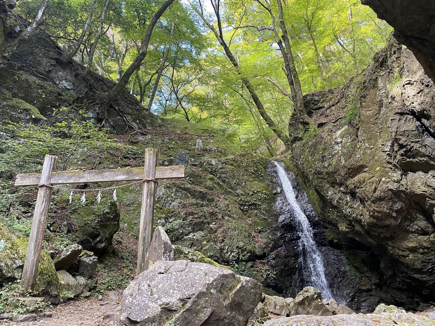 御岳山ロックガーデン / imoさんの大岳山・御岳山・御前山の活動データ | YAMAP / ヤマップ