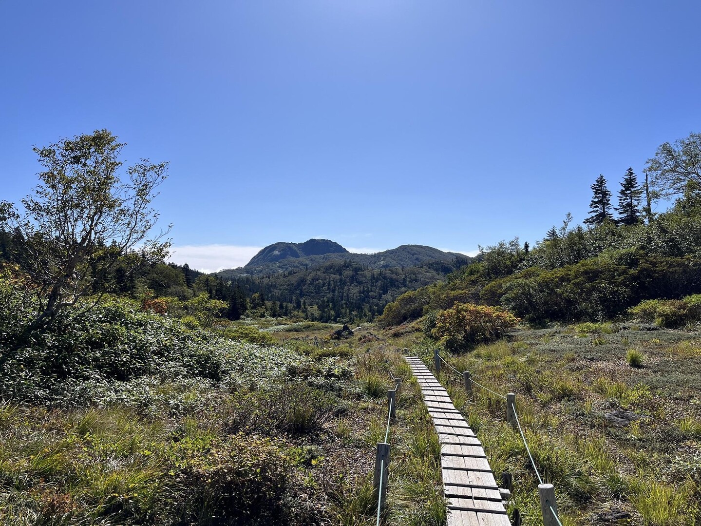 火打山・妙高山 / 妙高山・火打山の写真64枚目 | YAMAP / ヤマップ