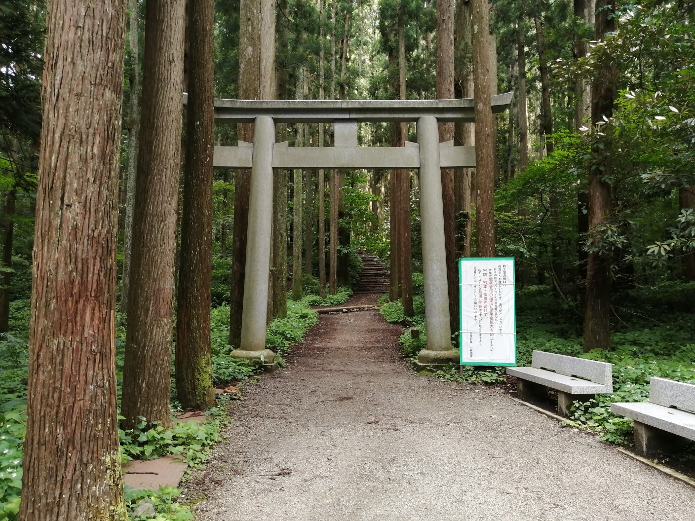 弥彦山 / JuJu さんの弥彦山・多宝山・雨乞山の活動データ | YAMAP / ヤマップ