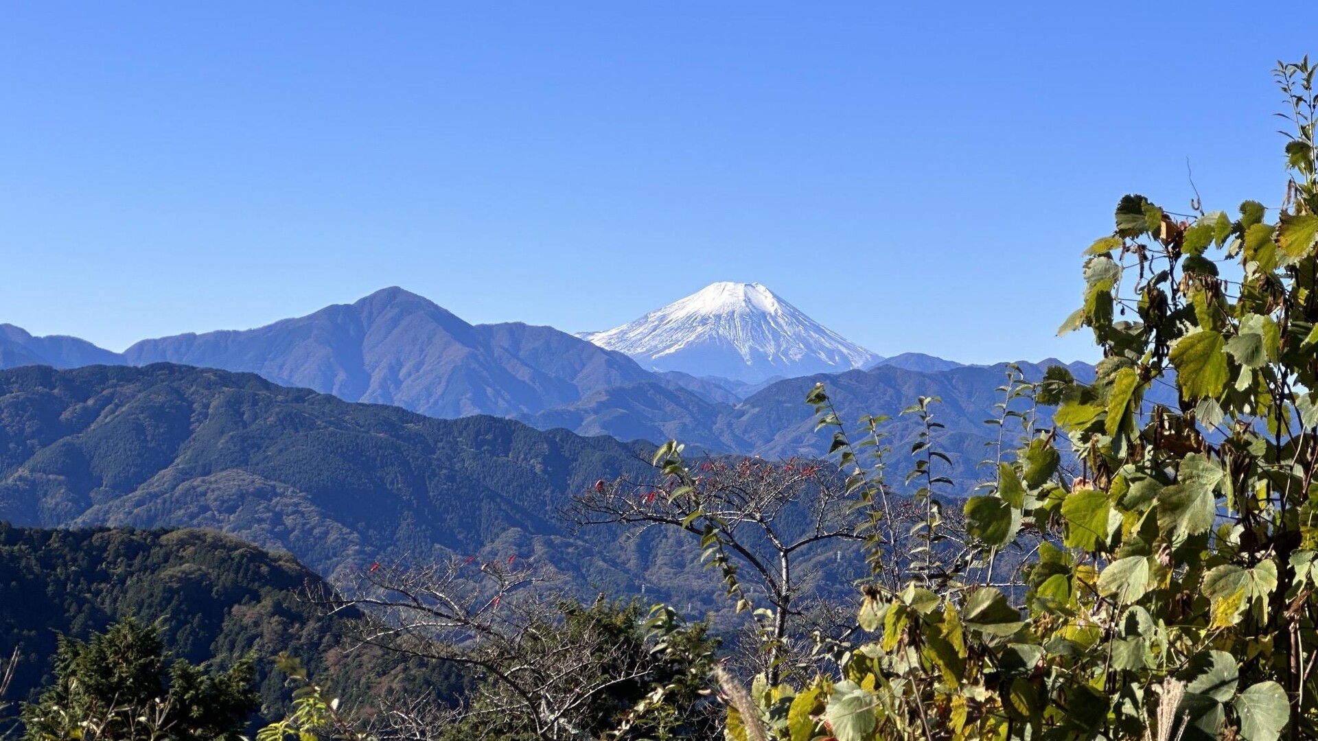 高尾山・神変山 / yamalamaさんの高尾山・陣馬山・景信山の活動データ | YAMAP / ヤマップ