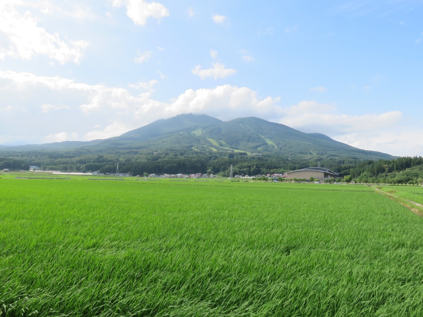 2021.07.11(日) 00:19 / ケロケロ🐸🐸🐸さんのモーメント | YAMAP / ヤマップ